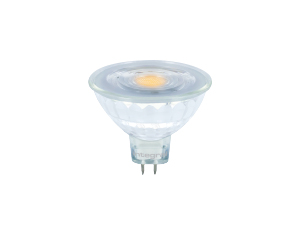 Integral LED Light Bulbs